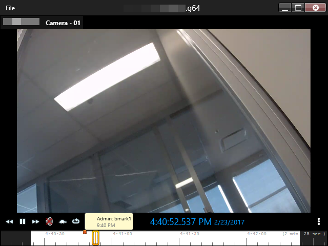 About Genetec™ Video Player